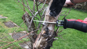 Super Sawzall vs. Sawzall: What’s the Difference? - ToolsProfy